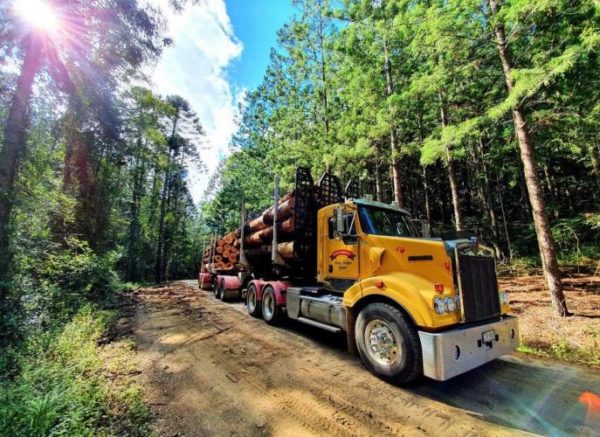 LOG TRUCK DRIVER | Driver Jobs Australia